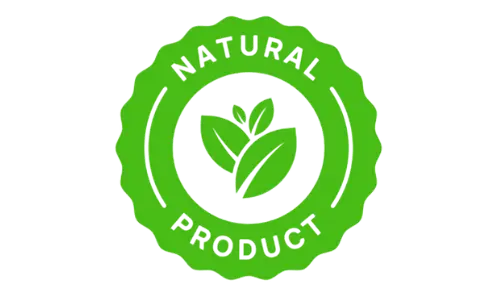 Neurocept™ – Official Website | Advanced Brain Nerve